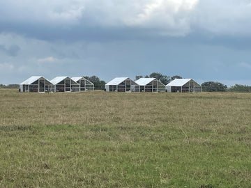 Why We Chose Kosher King – Flying A Farms